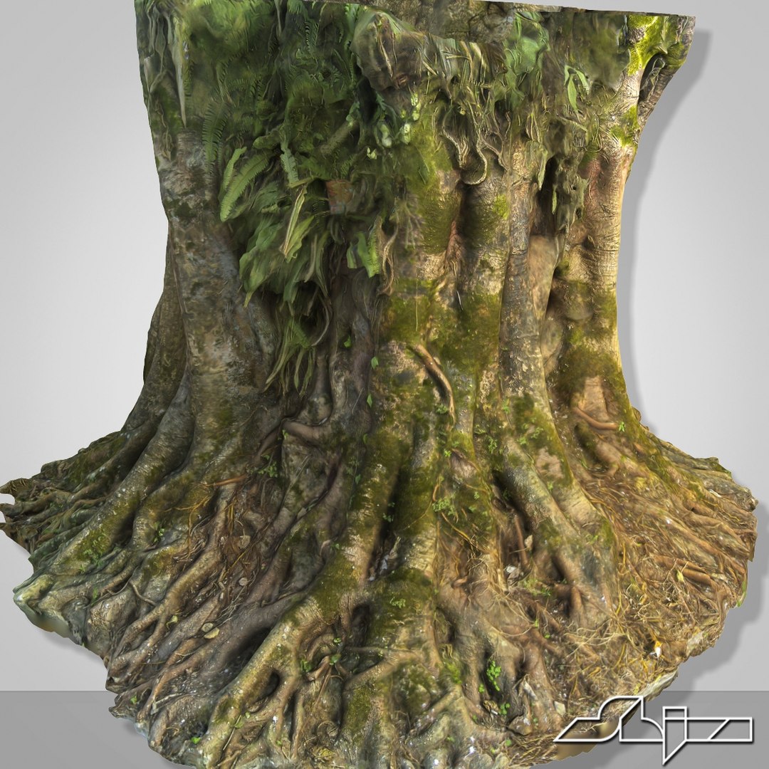 3d Tropical Tree Scan