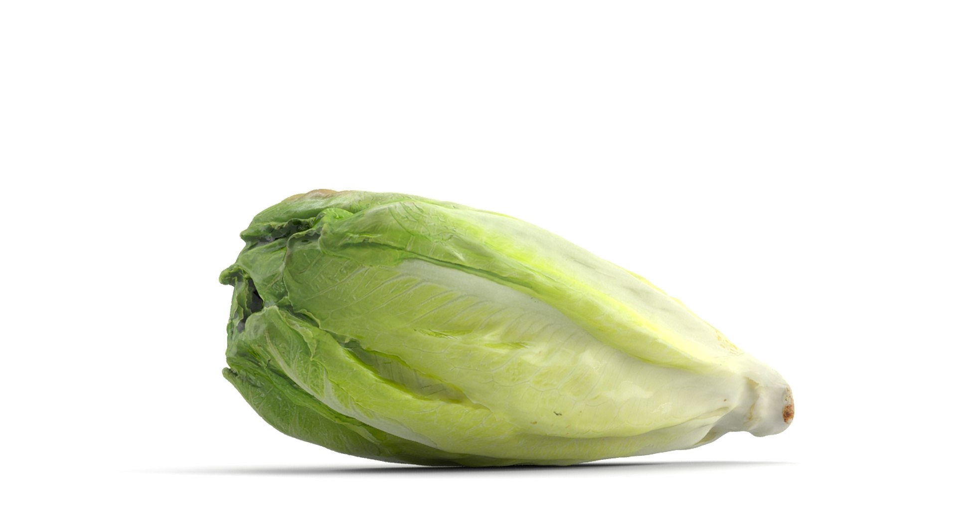 Max Realistic Lettuce