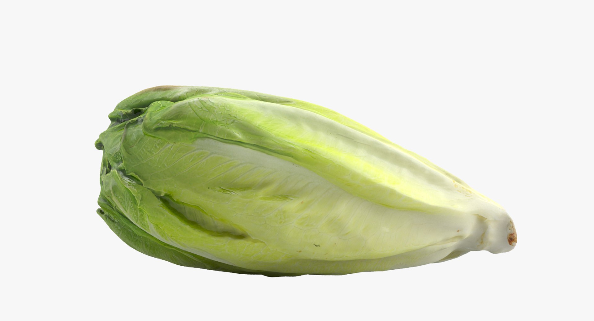 Max Realistic Lettuce
