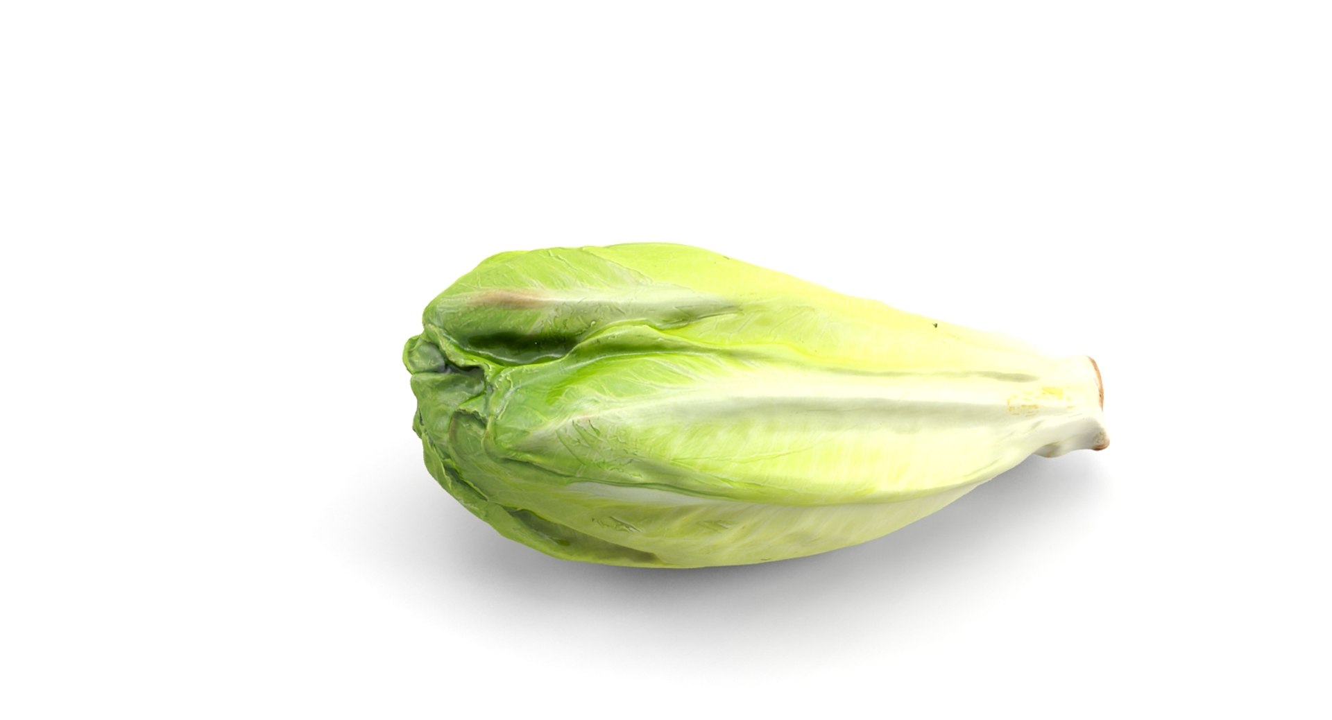 Max Realistic Lettuce