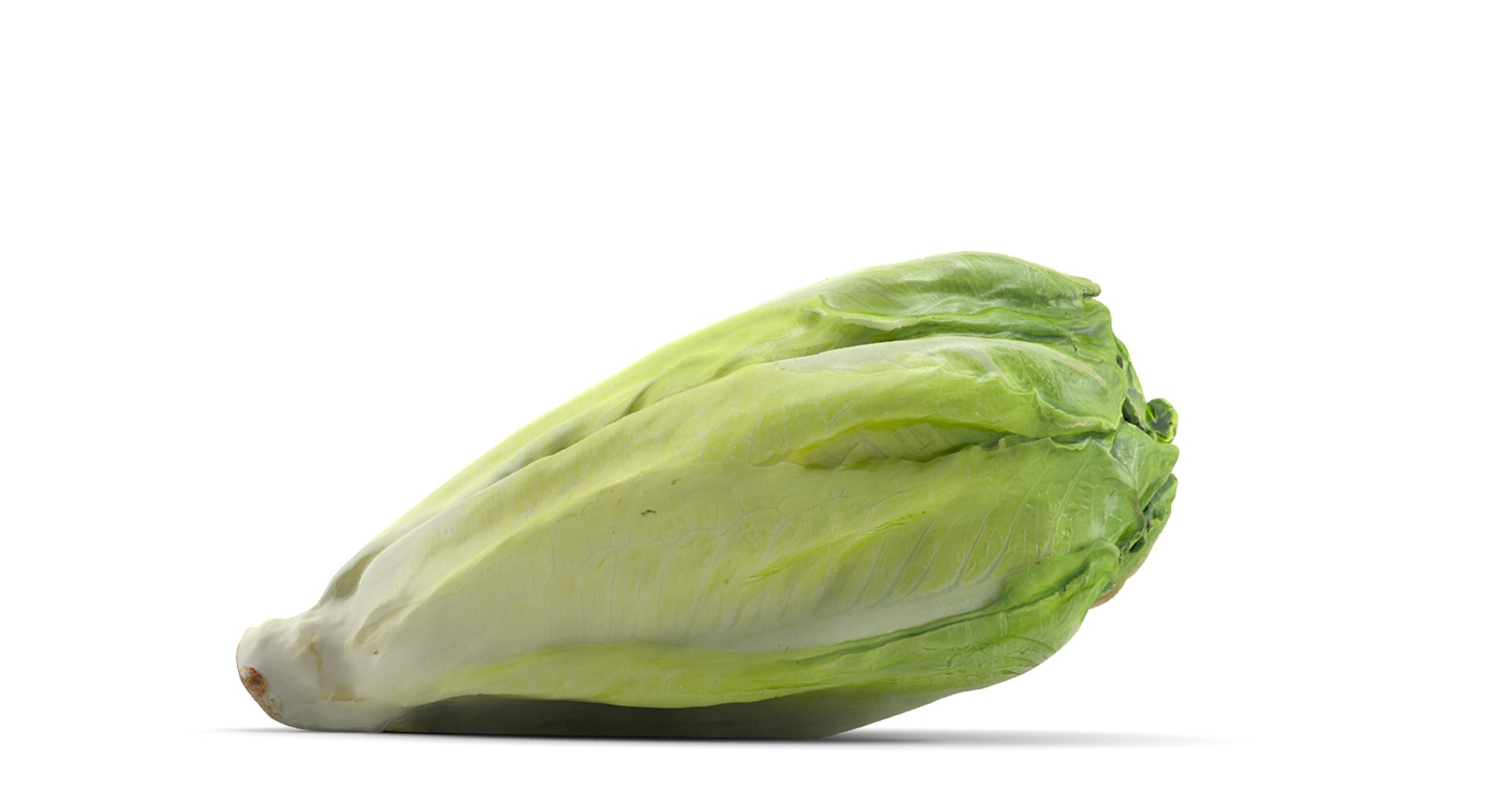 Max Realistic Lettuce