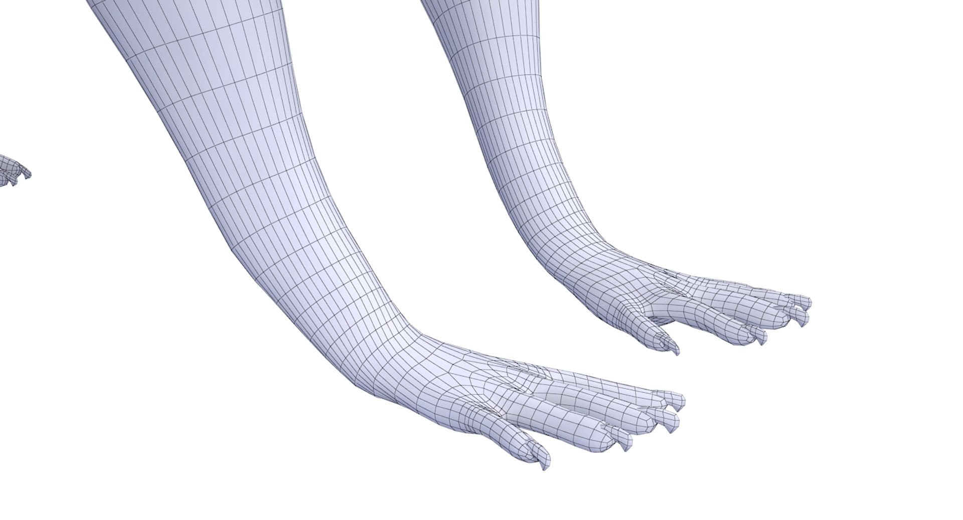 3d Model Raccoon Ornatrix Fur