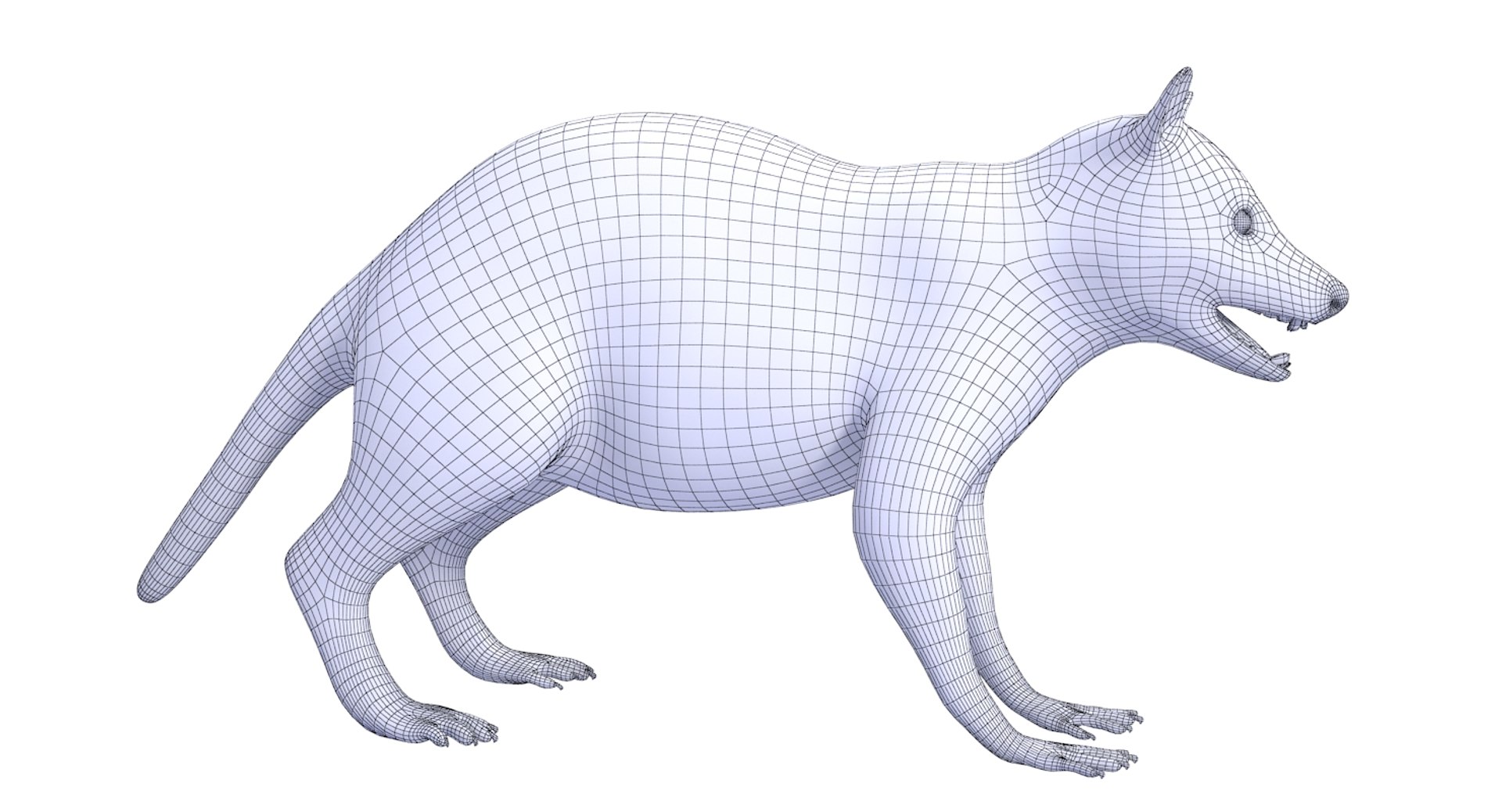 3d Model Raccoon Ornatrix Fur