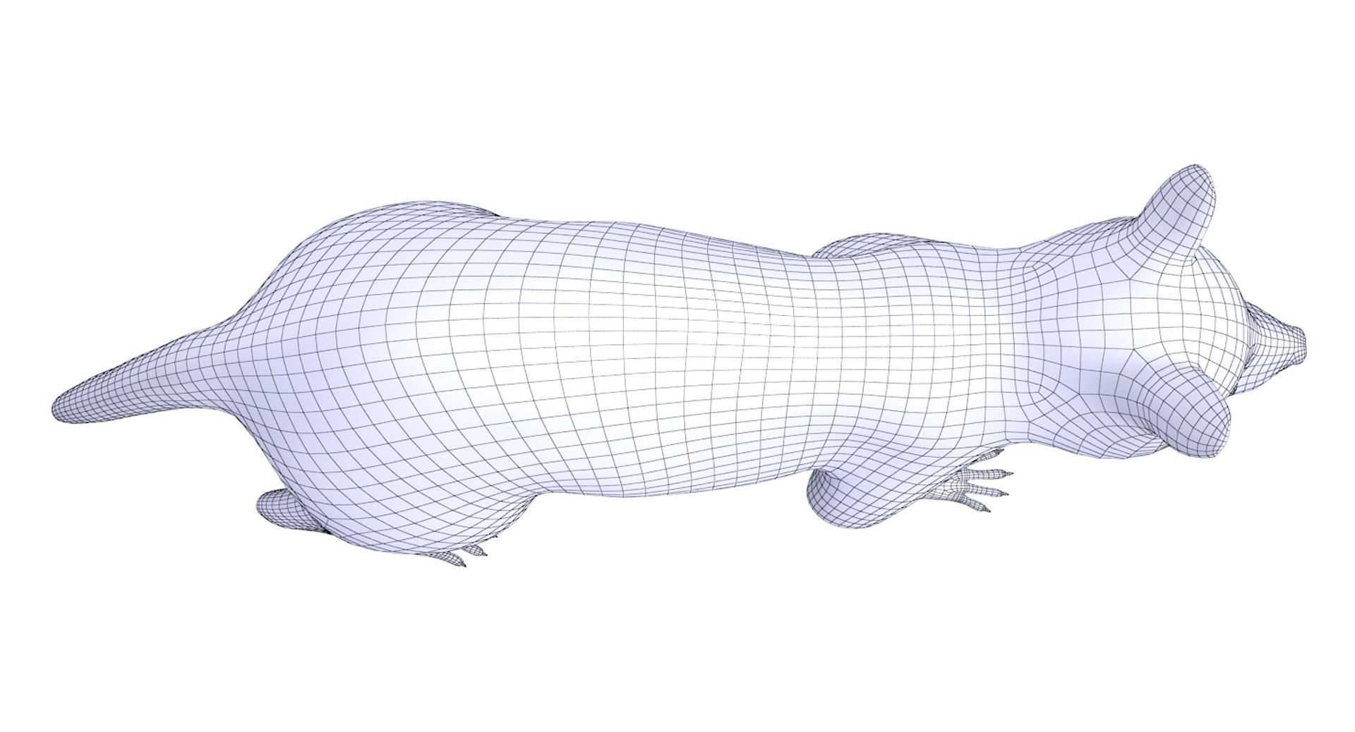 3d Model Raccoon Ornatrix Fur