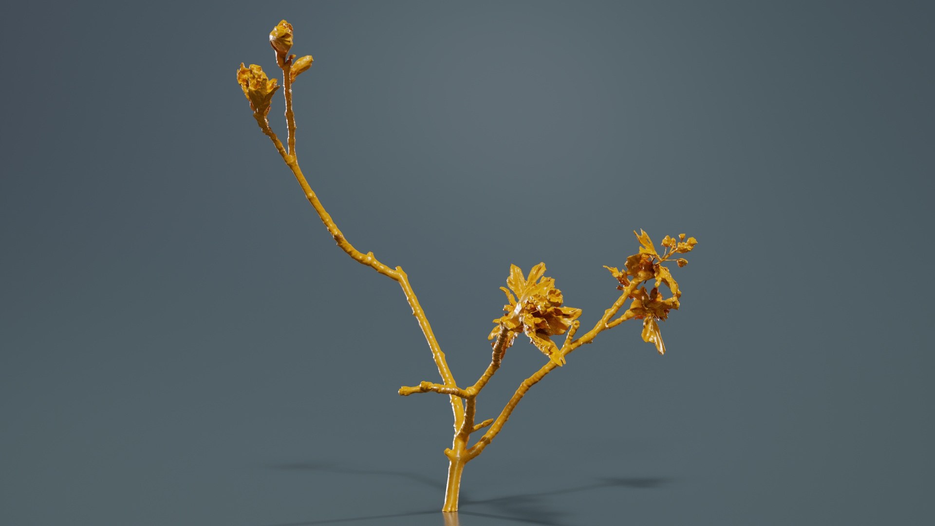 3D Ribes Alpinum Alpine Currant Grossulariaceae Sprout Remastered Model ...