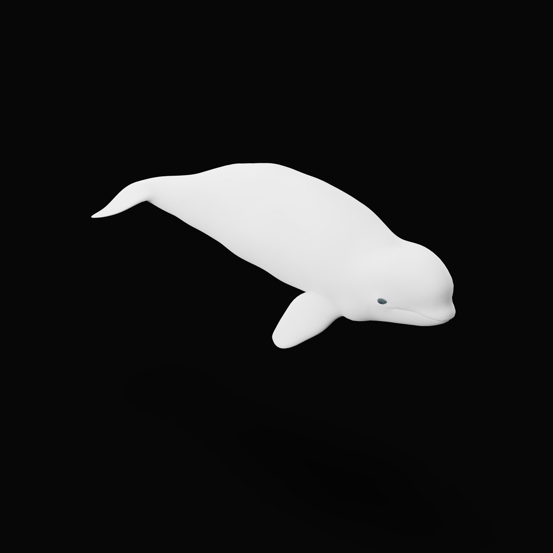 3D Beluga Whale - TurboSquid 2395909