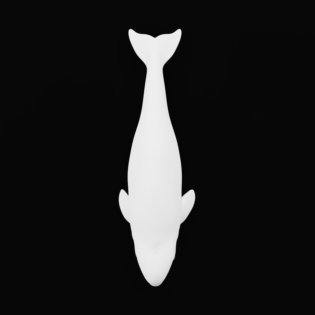 3D Beluga Whale - TurboSquid 2395909