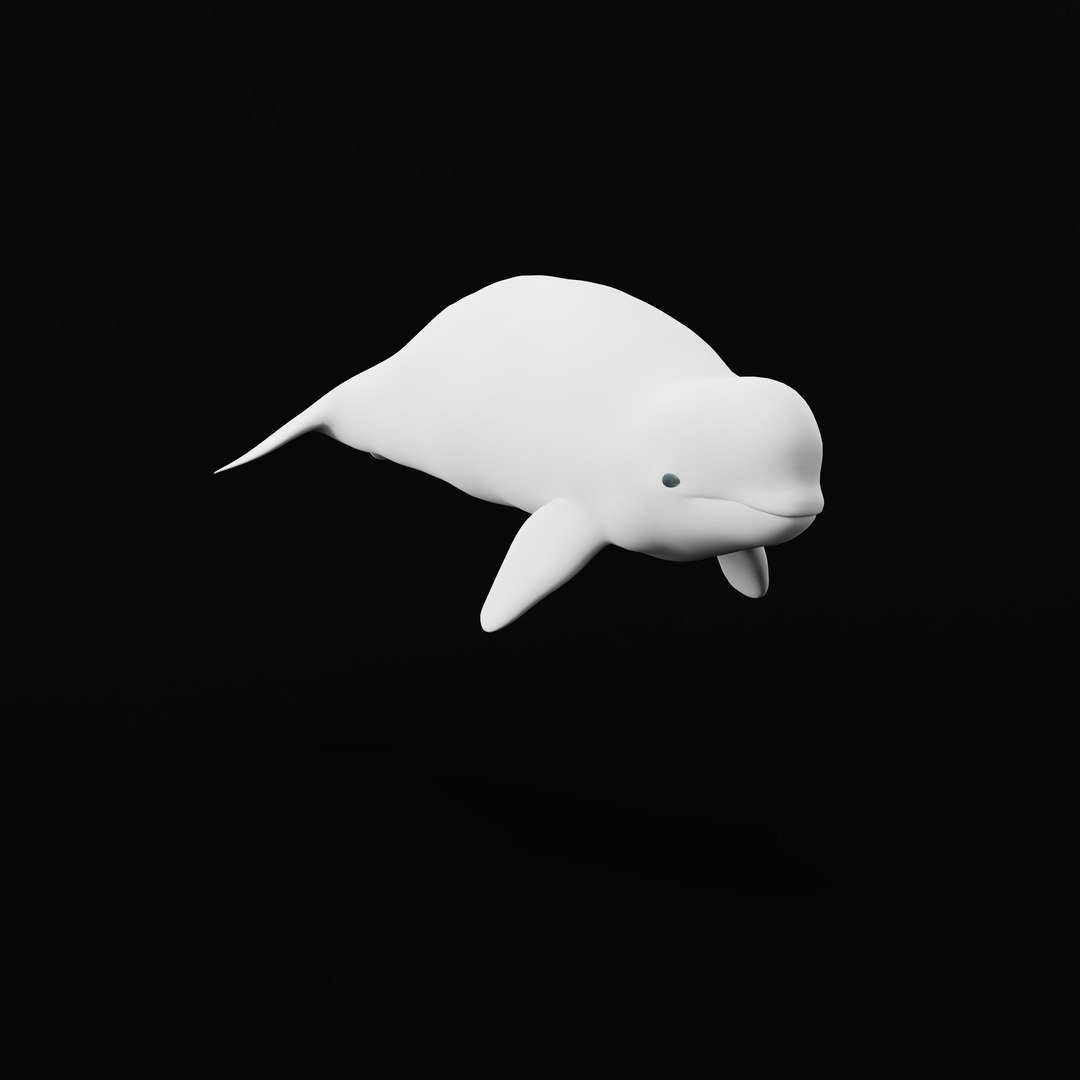 3D Beluga Whale - TurboSquid 2395909