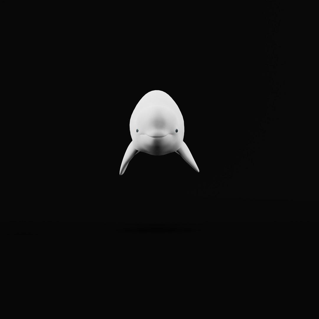 3D Beluga Whale - TurboSquid 2395909