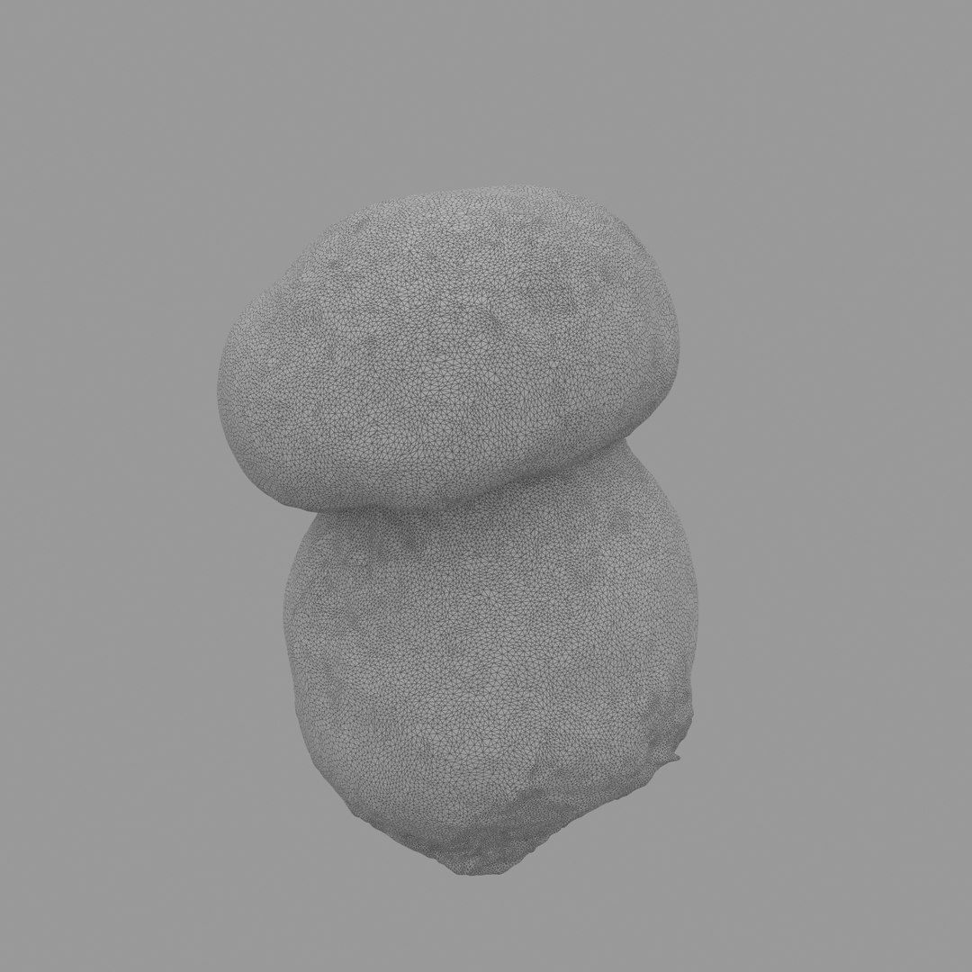 3D Model Scan - TurboSquid 1199472