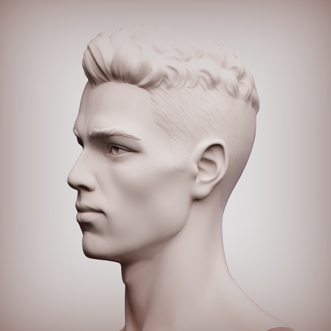 3D Model Male Anatomy Constructor - TurboSquid 2296208