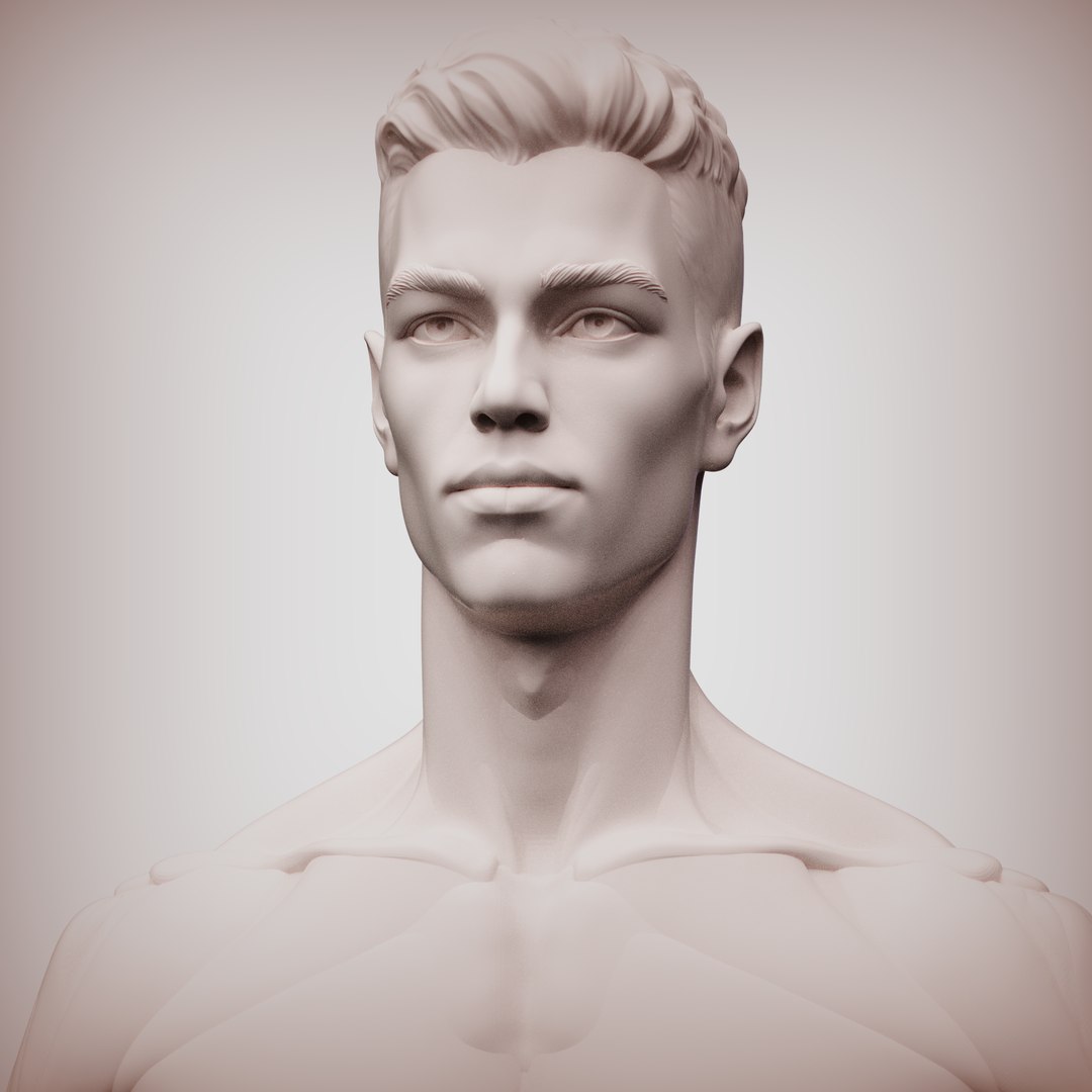 3D Model Male Anatomy Constructor - TurboSquid 2296208