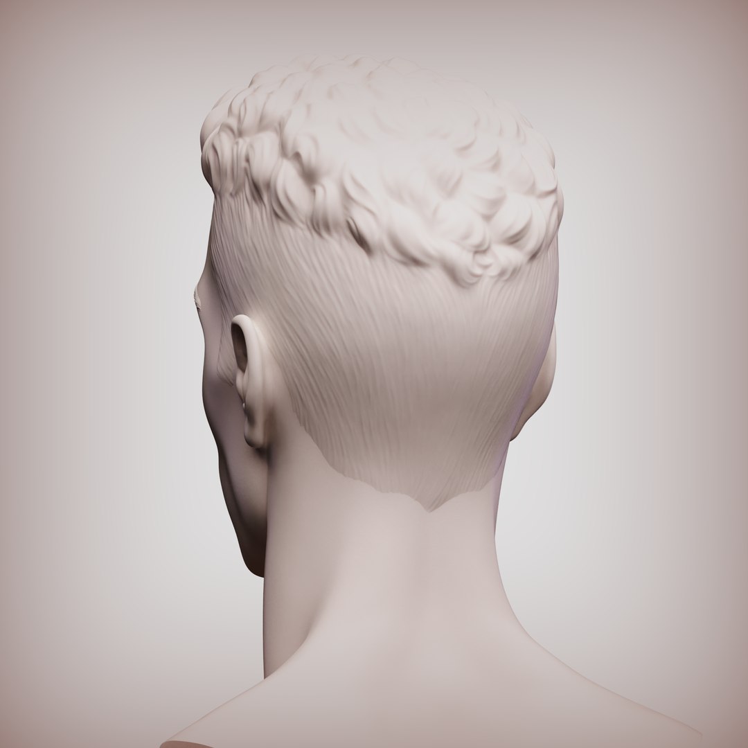 3D Model Male Anatomy Constructor - TurboSquid 2296208