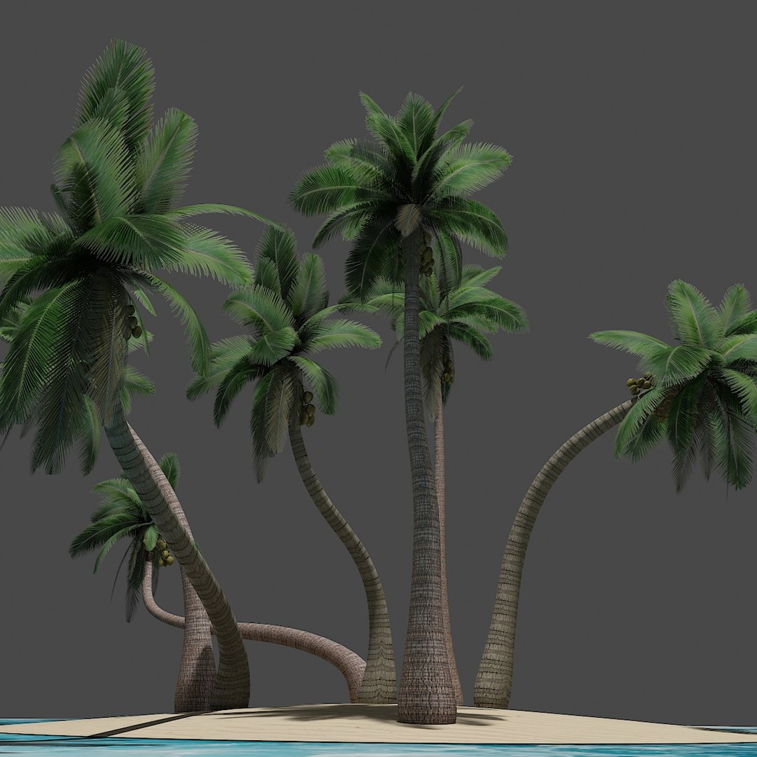 3d coconut tree model