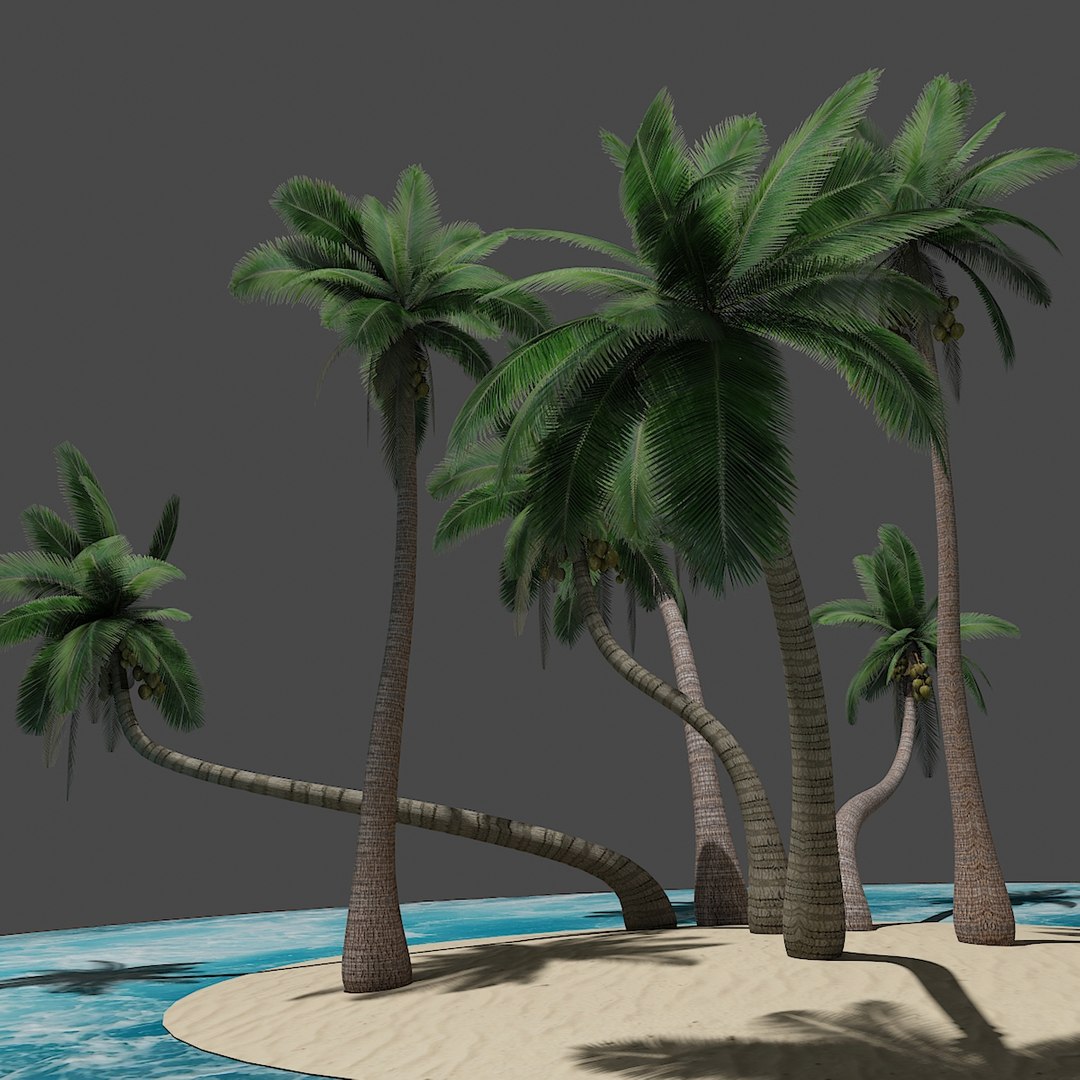 3d coconut tree model