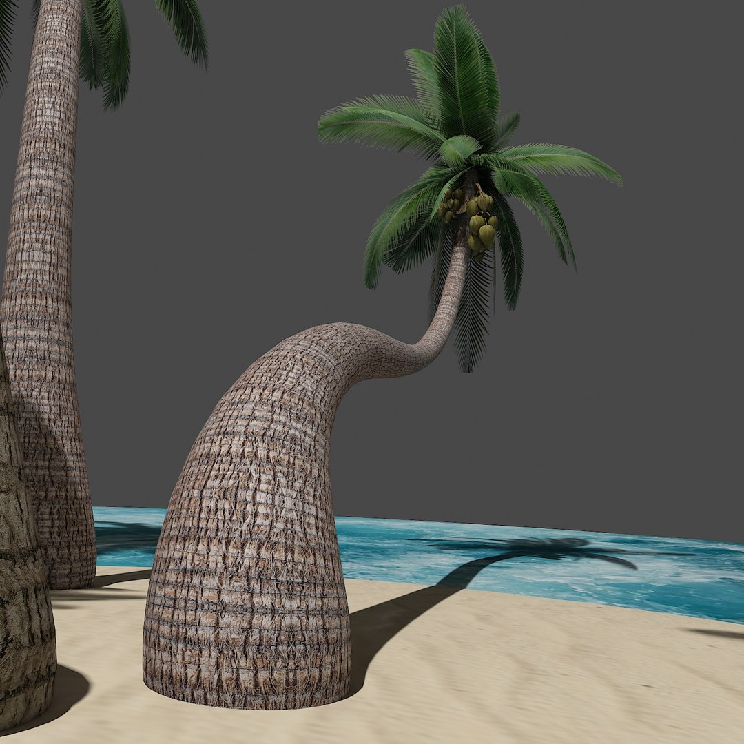 3d coconut tree model