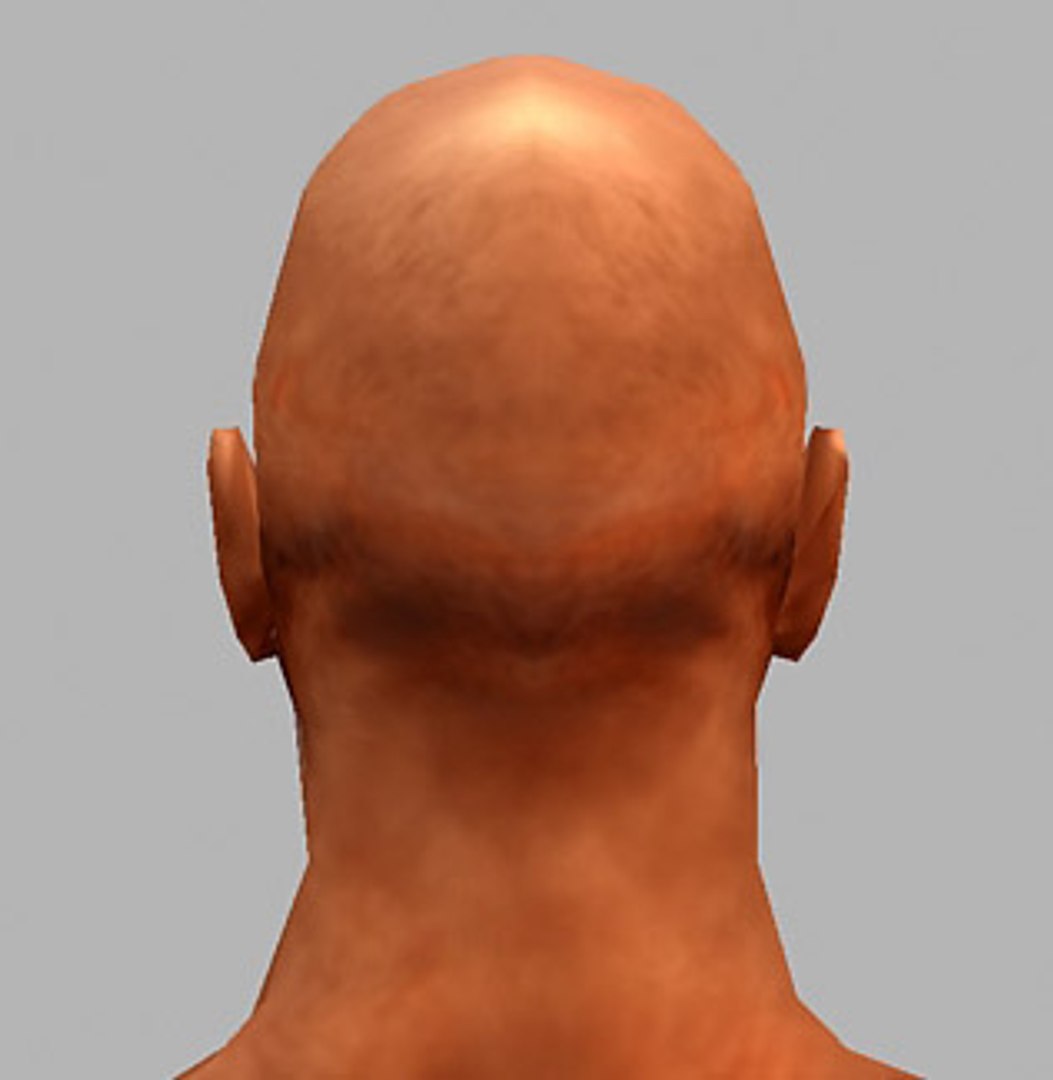 Low-poly Man Head 3d Max