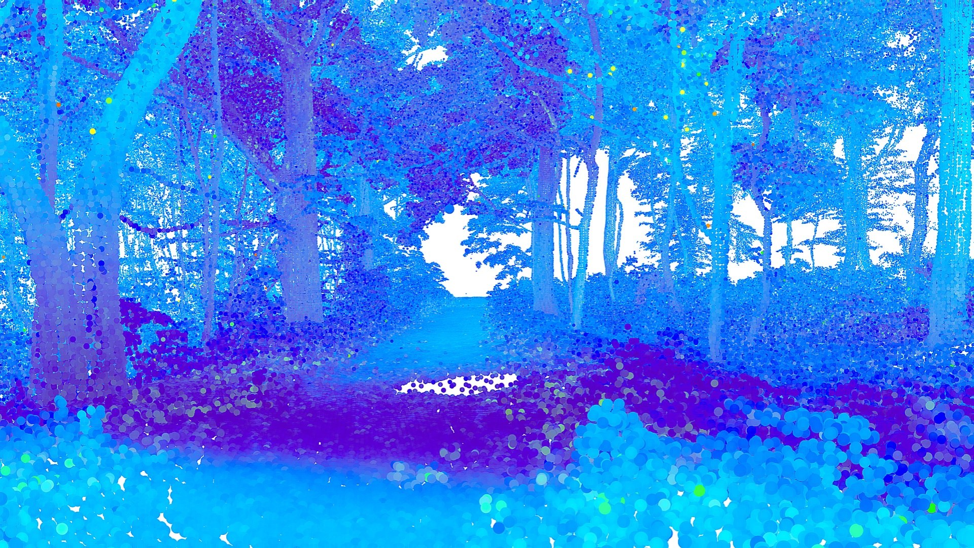 3D Forest Path - Point Cloud - TurboSquid 2240406