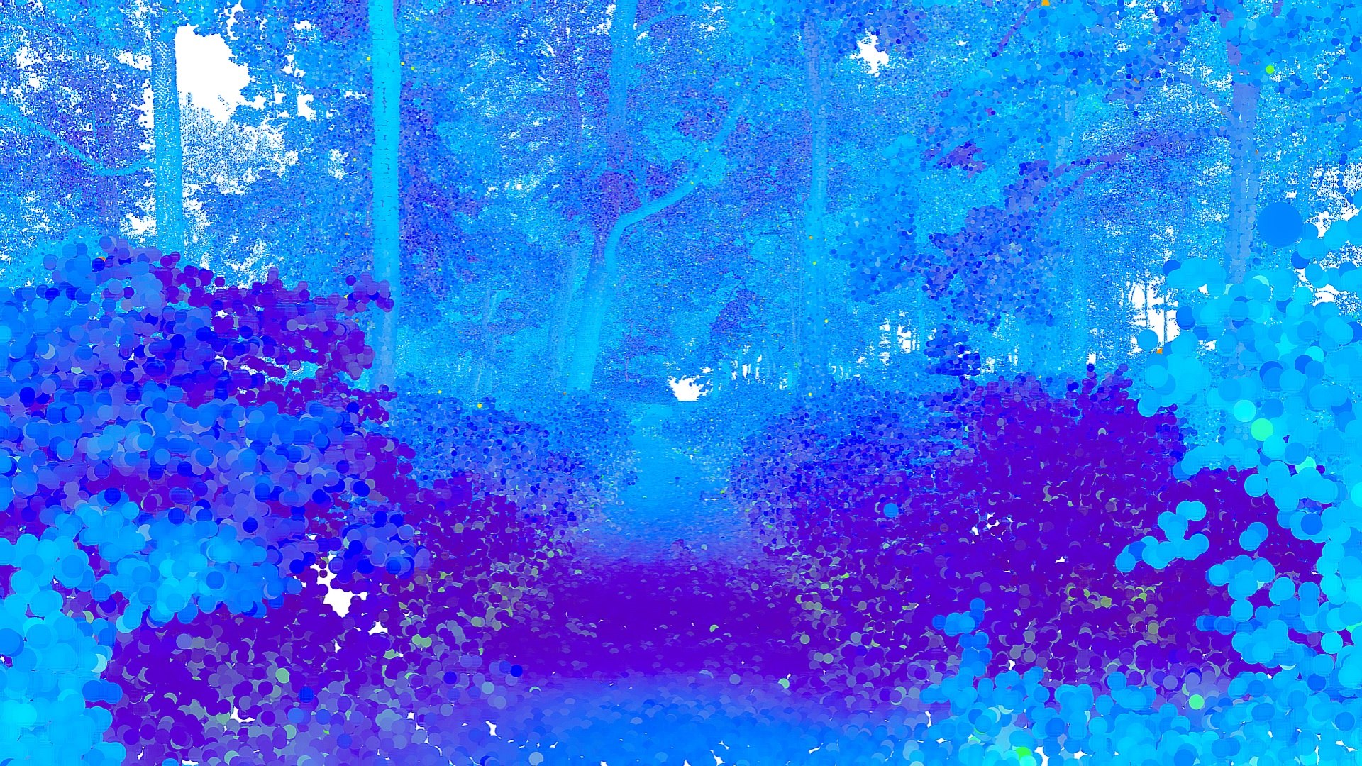 3D Forest Path - Point Cloud - TurboSquid 2240406