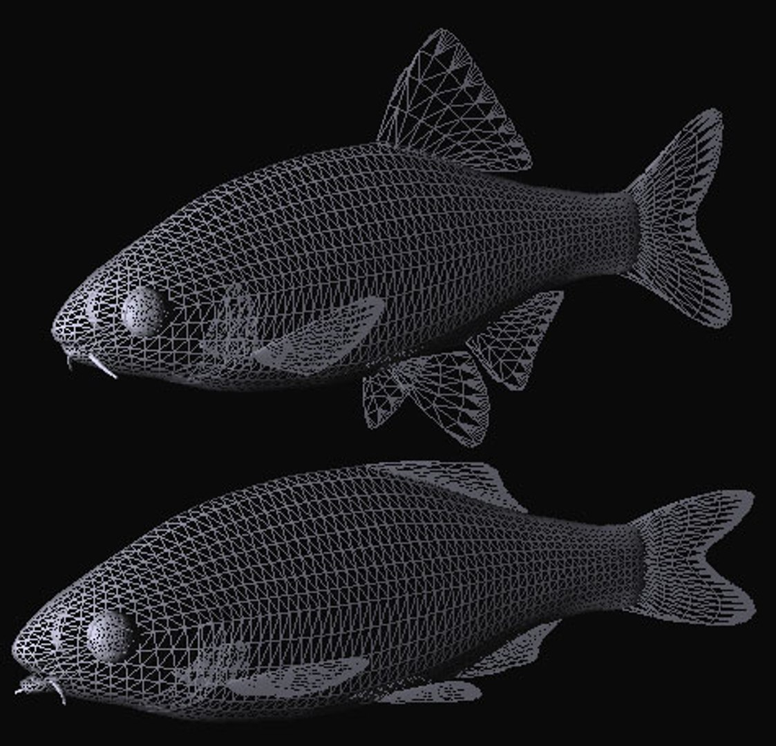 Swimming 3d Model