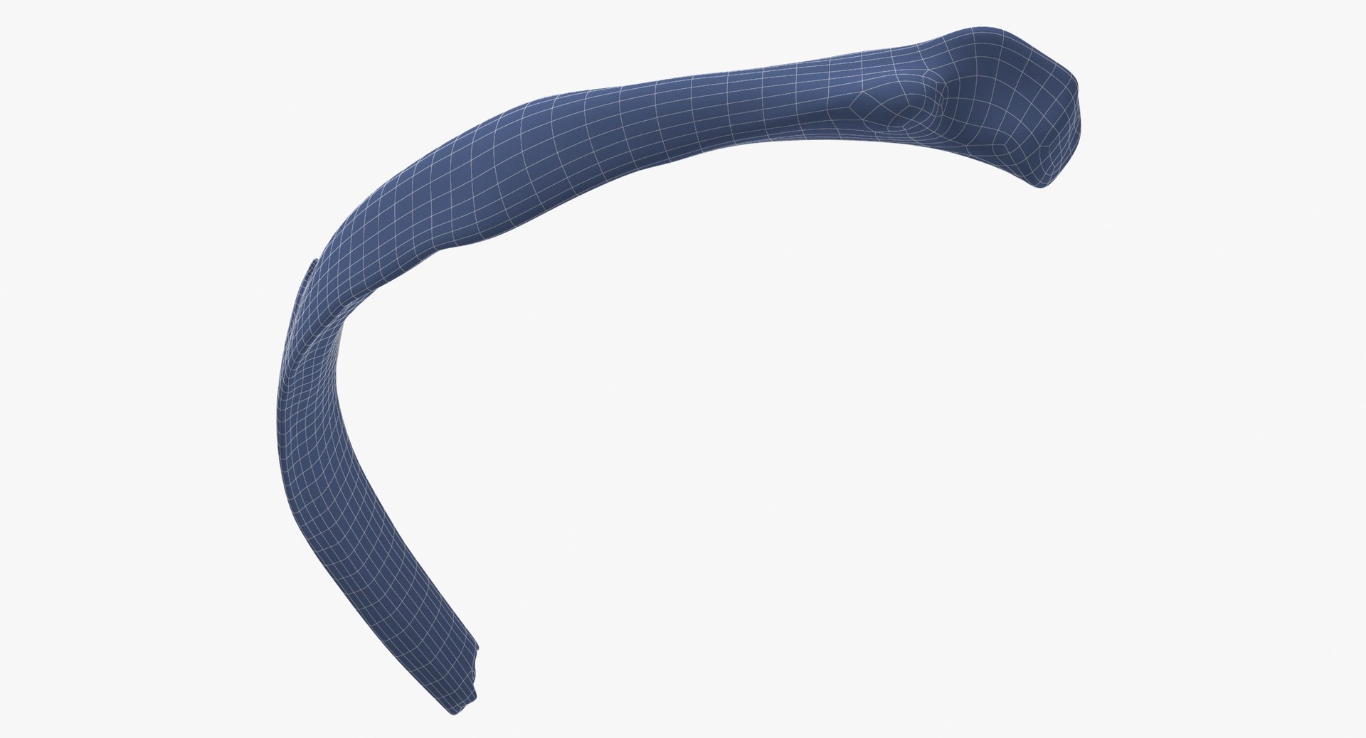 Costae fluctuantes floating rib 3D model - TurboSquid 1580157