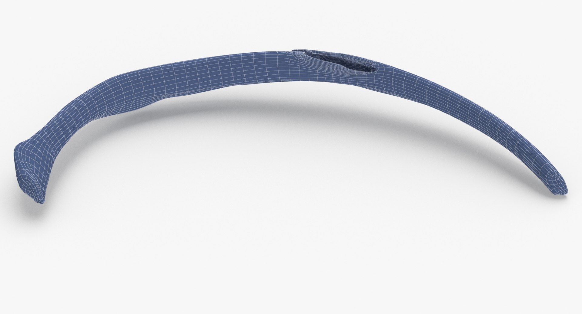 Costae fluctuantes floating rib 3D model - TurboSquid 1580157