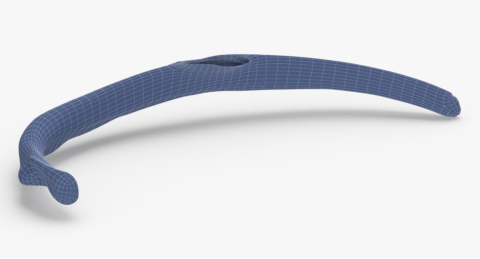 Costae fluctuantes floating rib 3D model - TurboSquid 1580157