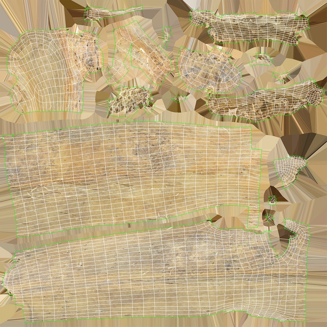 Costae fluctuantes floating rib 3D model - TurboSquid 1580157