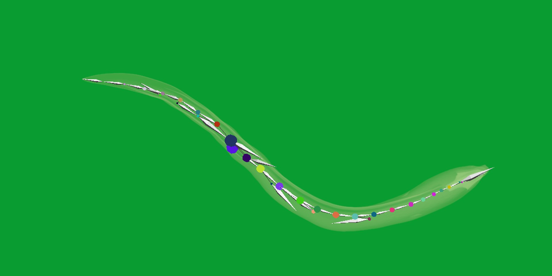 3D Ocellated Moray Eel - TurboSquid 2370187