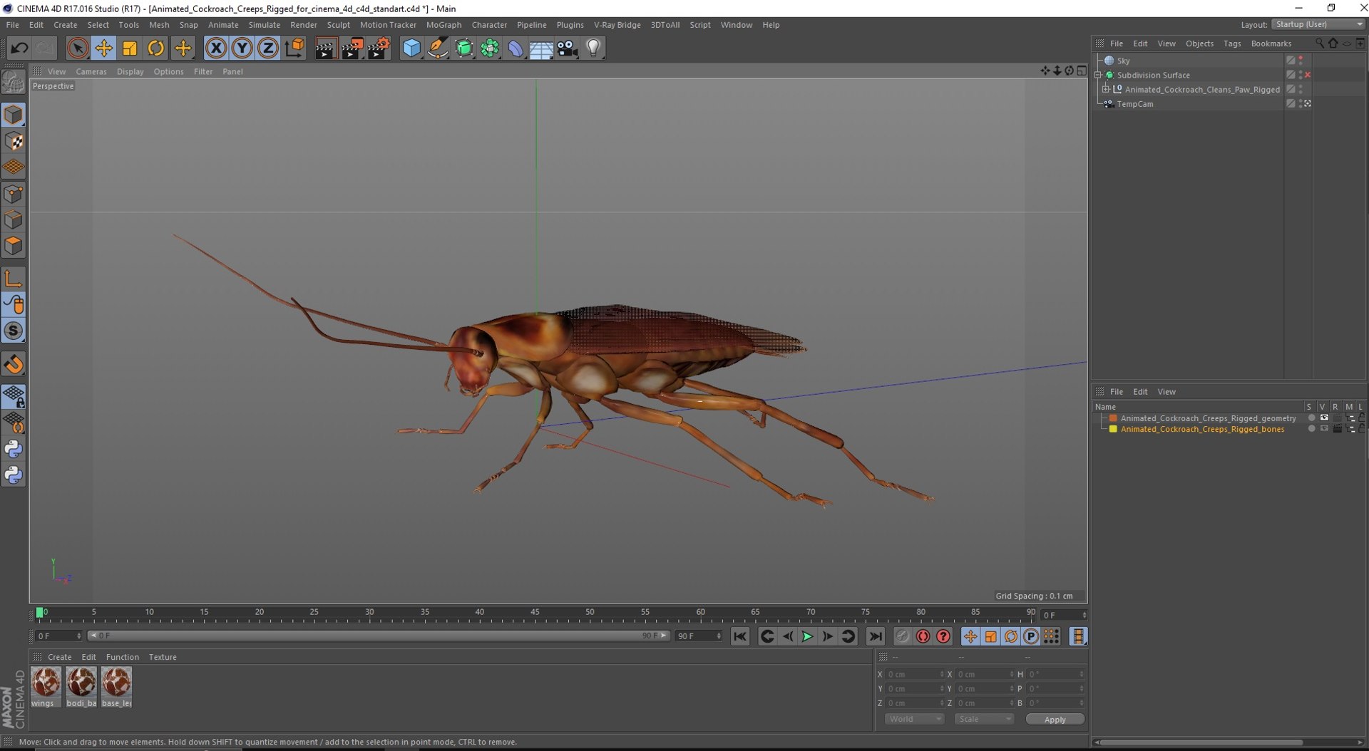 3D Animated Cockroach Creeps Rigged for Cinema 4D - TurboSquid 2102533