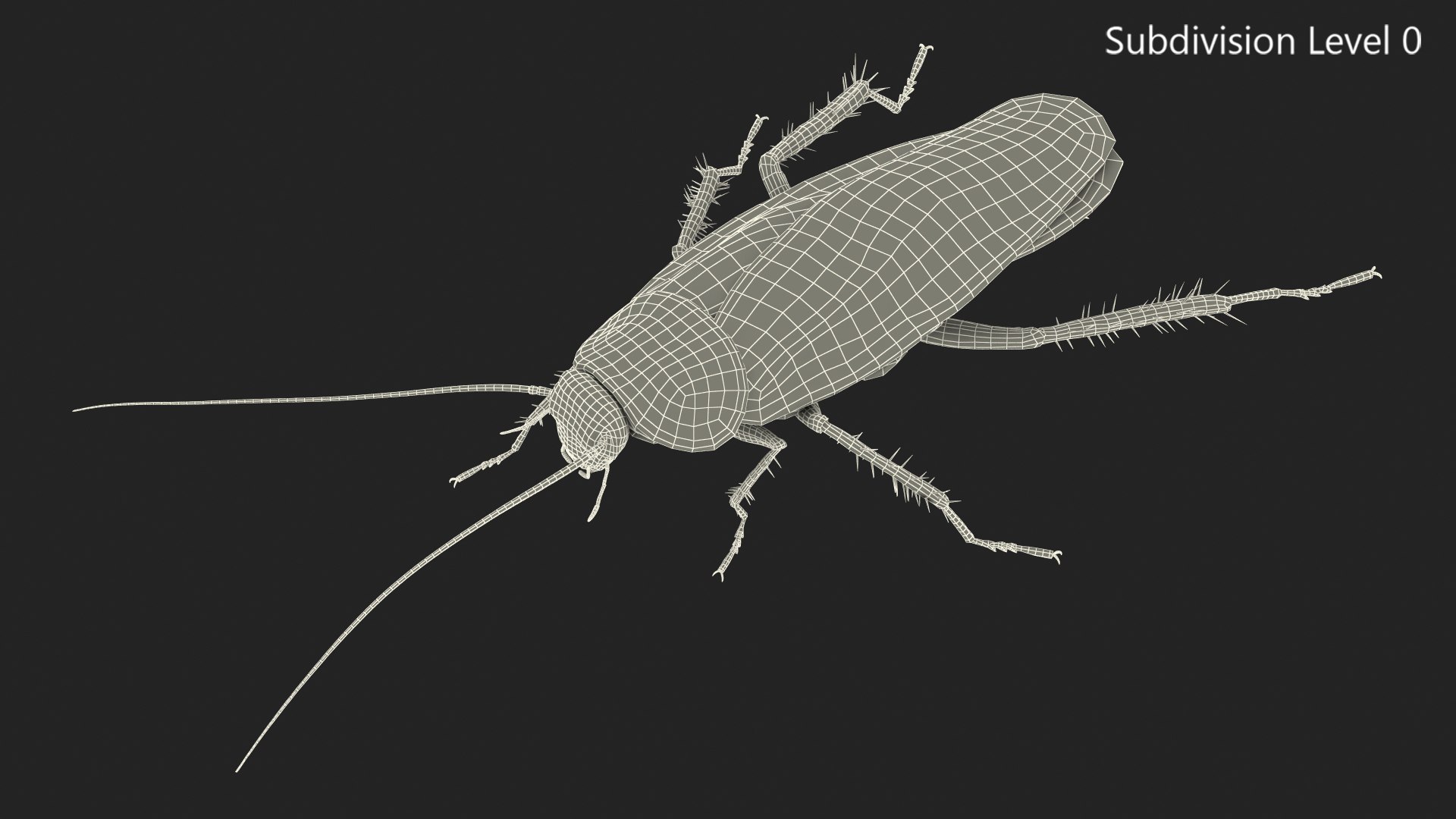 3D Animated Cockroach Creeps Rigged for Cinema 4D - TurboSquid 2102533
