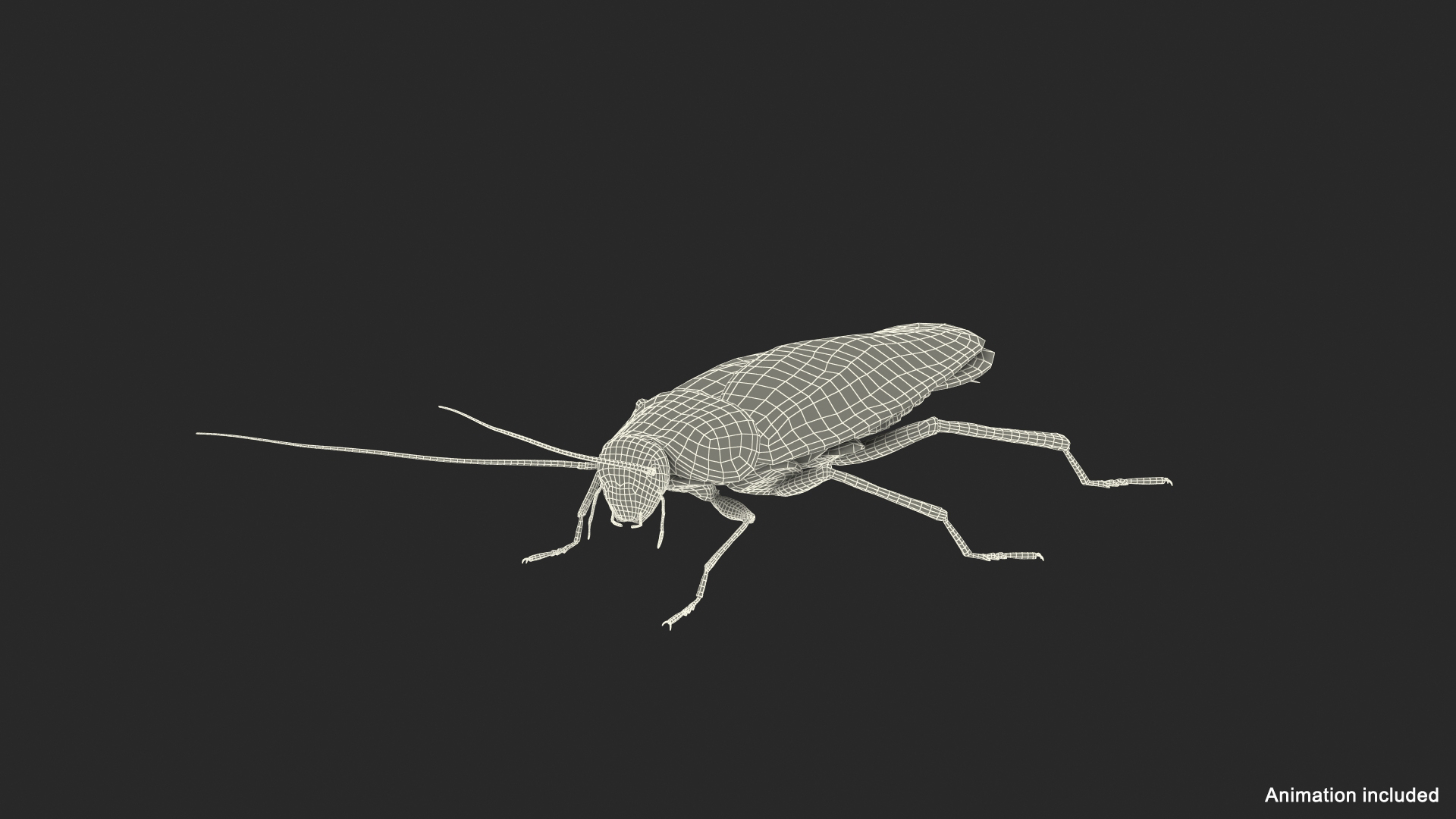 3D Animated Cockroach Creeps Rigged For Cinema 4D - TurboSquid 2102533