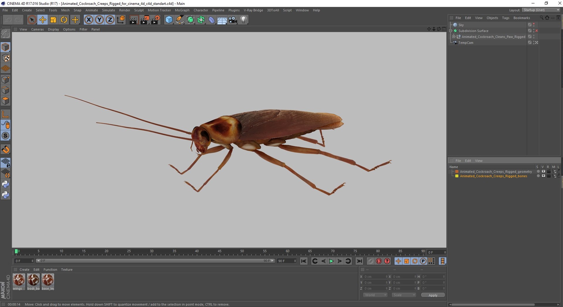3D Animated Cockroach Creeps Rigged for Cinema 4D - TurboSquid 2102533