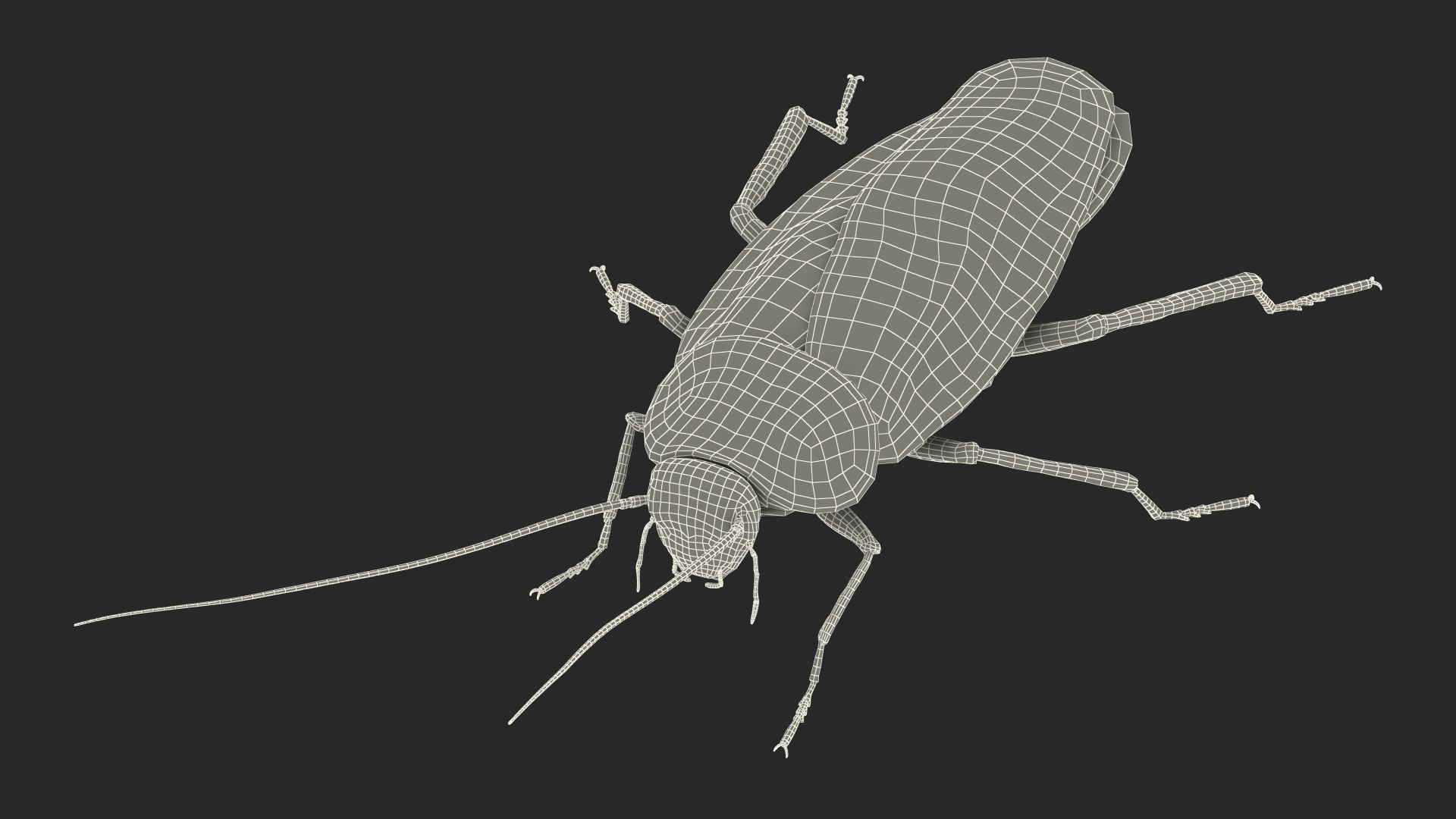 3D Animated Cockroach Creeps Rigged for Cinema 4D - TurboSquid 2102533