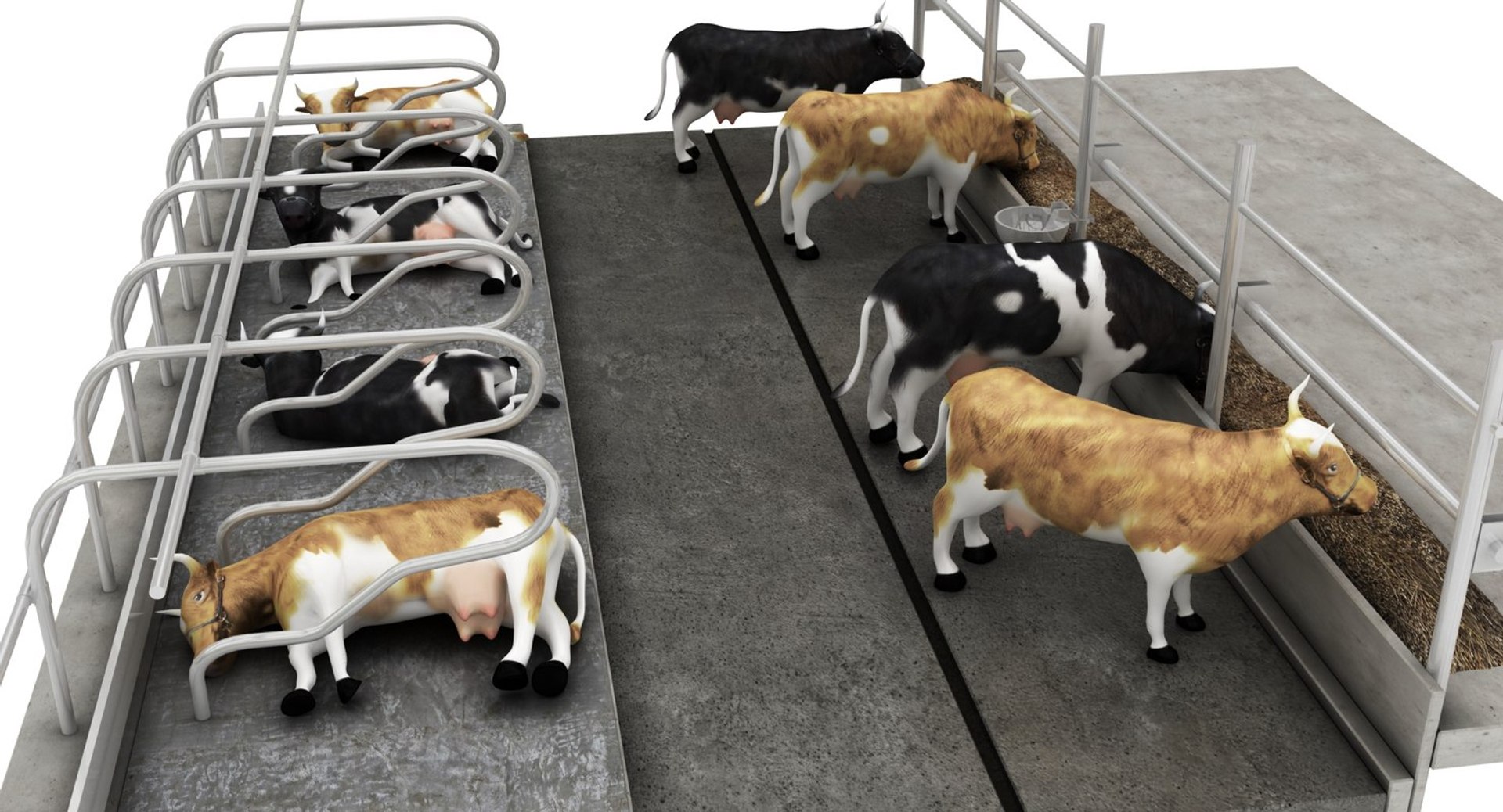 3D Model Cow Farm 1 - TurboSquid 1423472