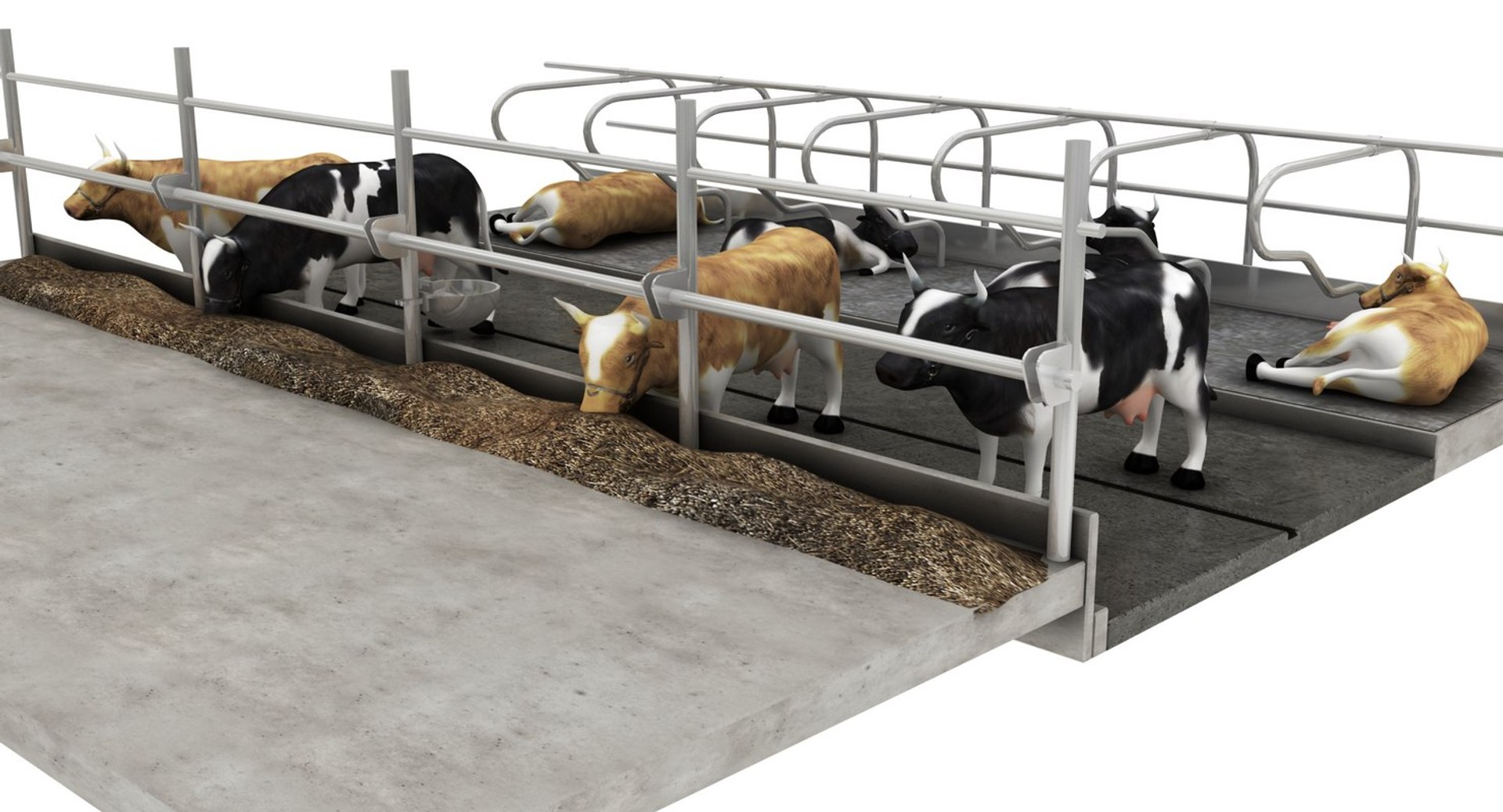 3D Model Cow Farm 1 - TurboSquid 1423472
