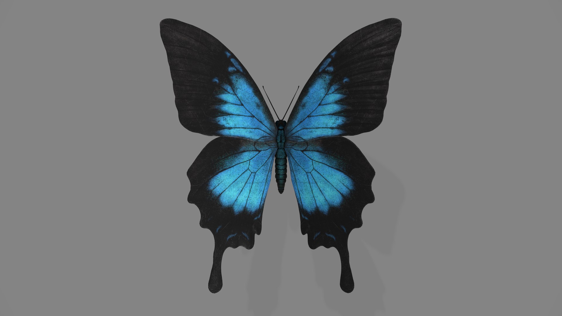 3D Model Butterfly - TurboSquid 1986786