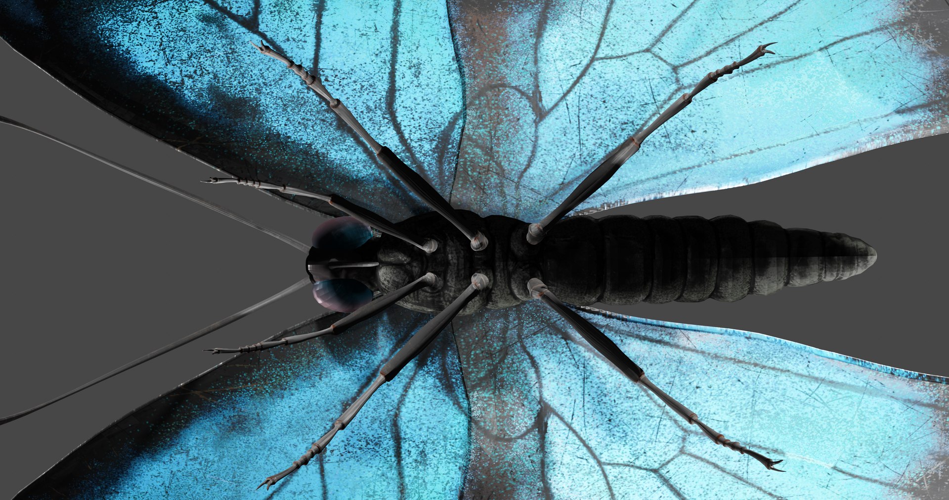 3D Model Butterfly - TurboSquid 1986786