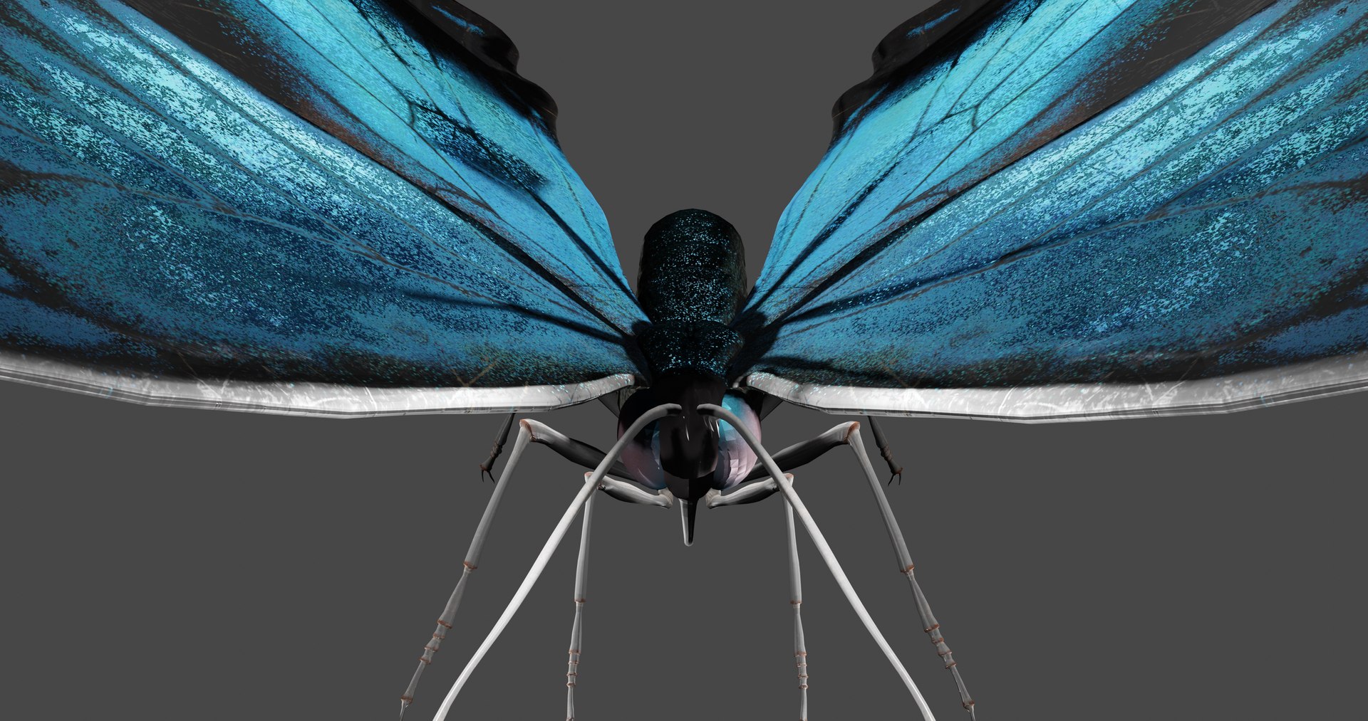 3D Model Butterfly - TurboSquid 1986786