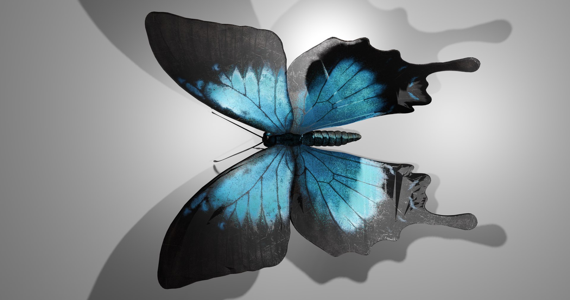 3D Model Butterfly - TurboSquid 1986786