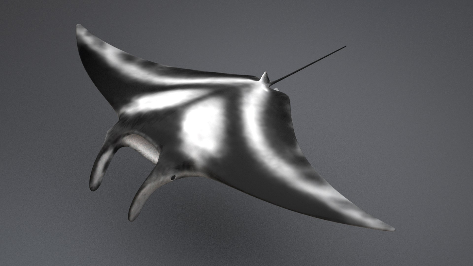Gigant Manta 3d Max