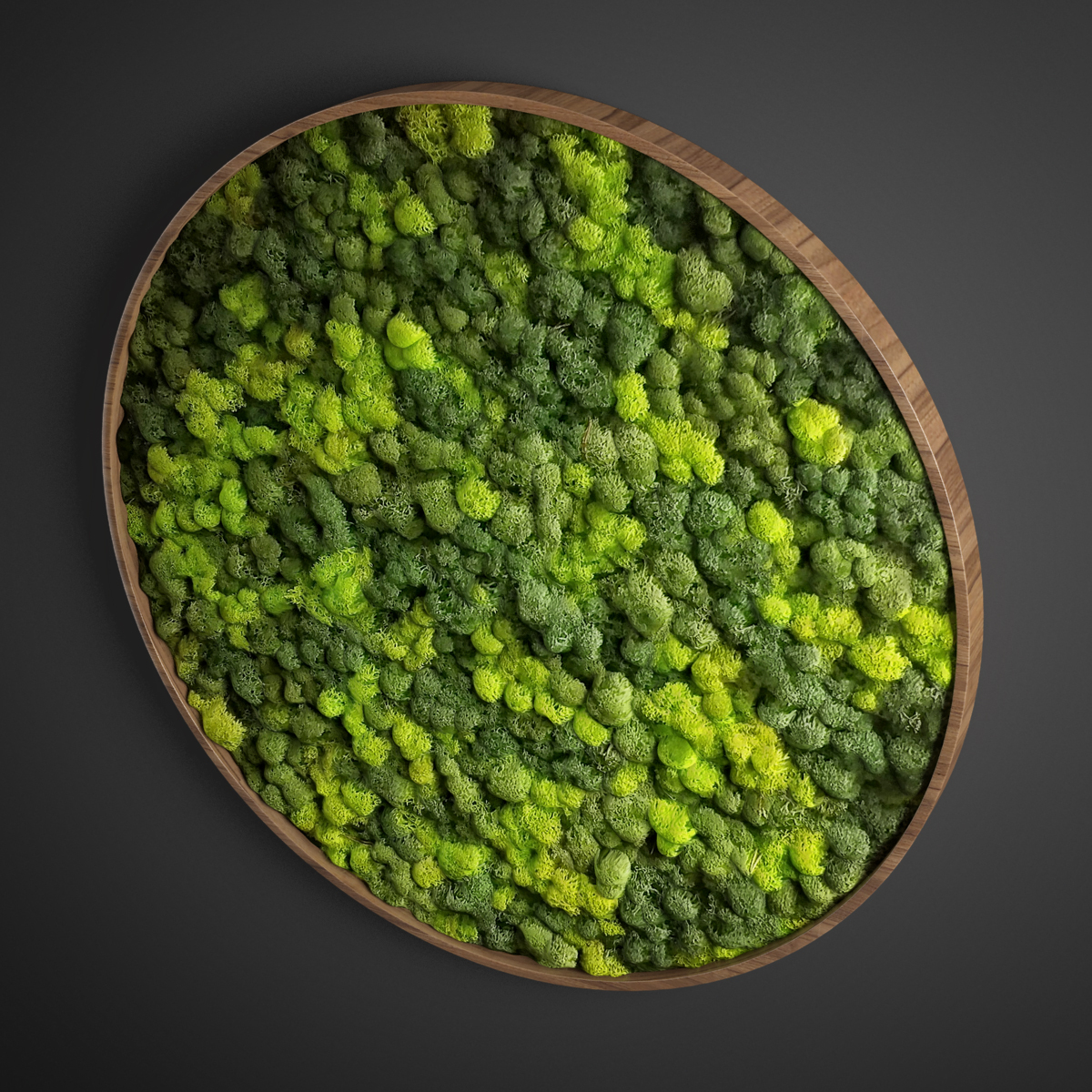 Panel moss circle 3D model | 1147512 | TurboSquid