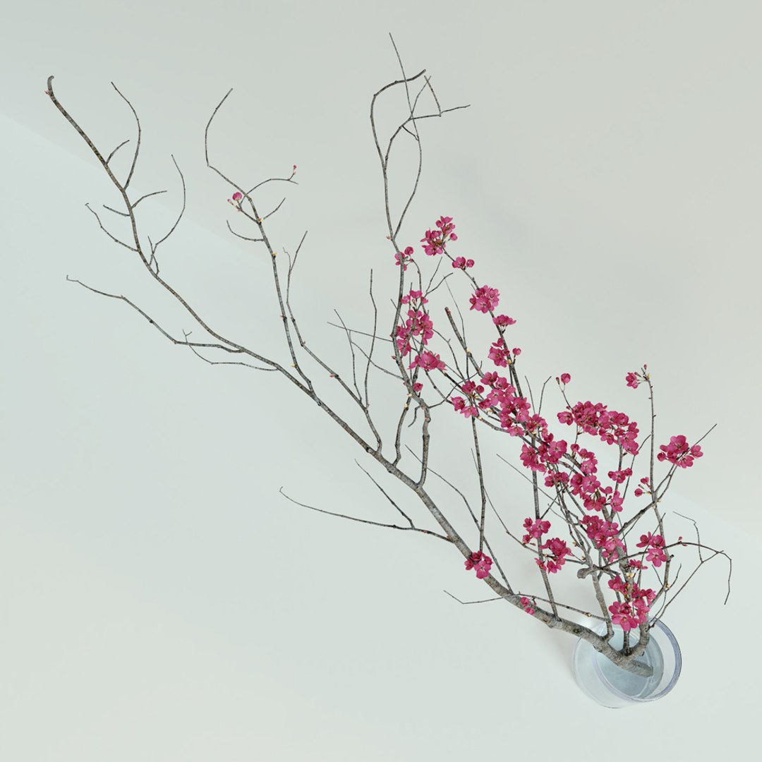 3D Decorative Branch Flowers Sakura - TurboSquid 1255022