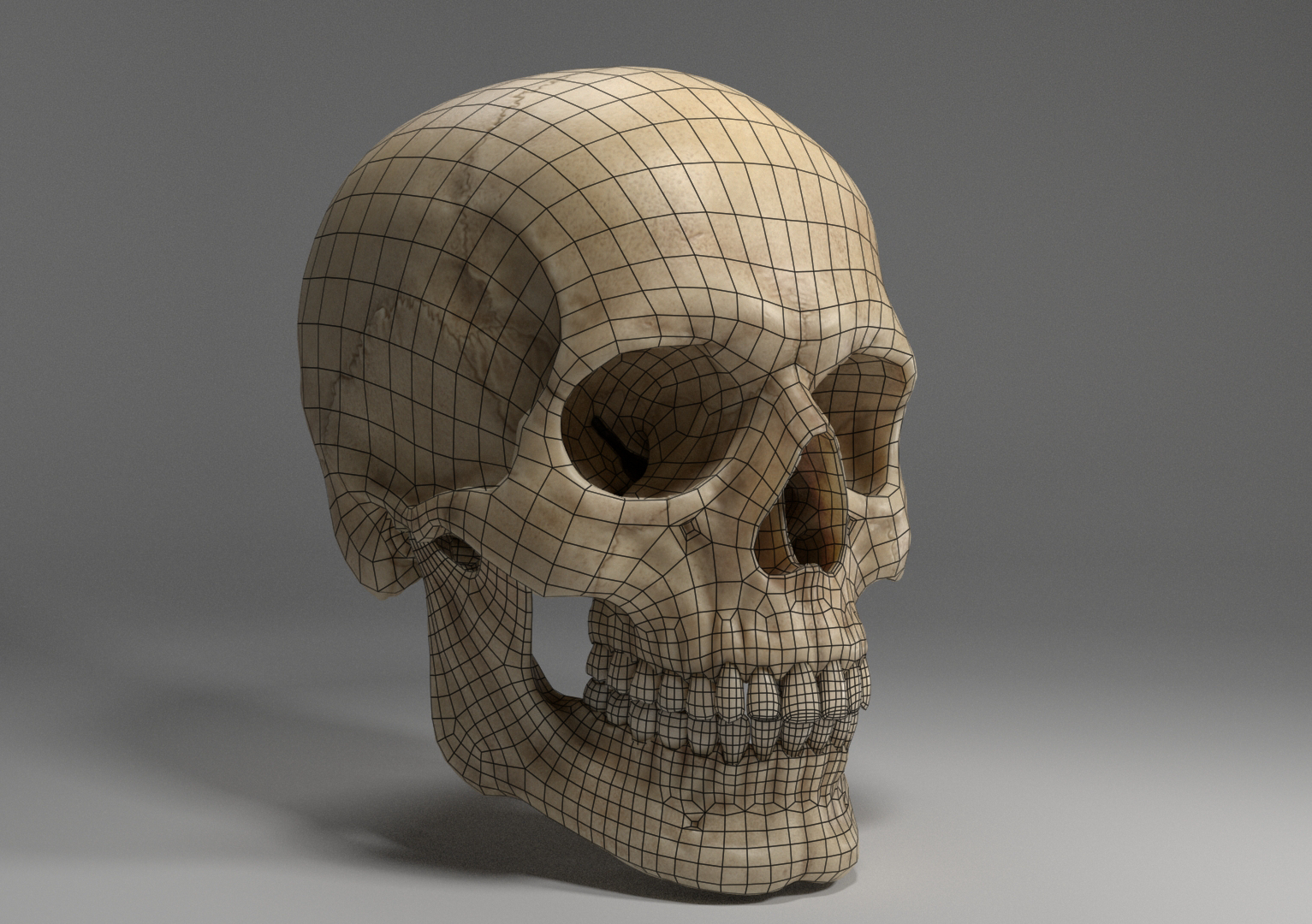 3D sculpted human skull model - TurboSquid 1325988