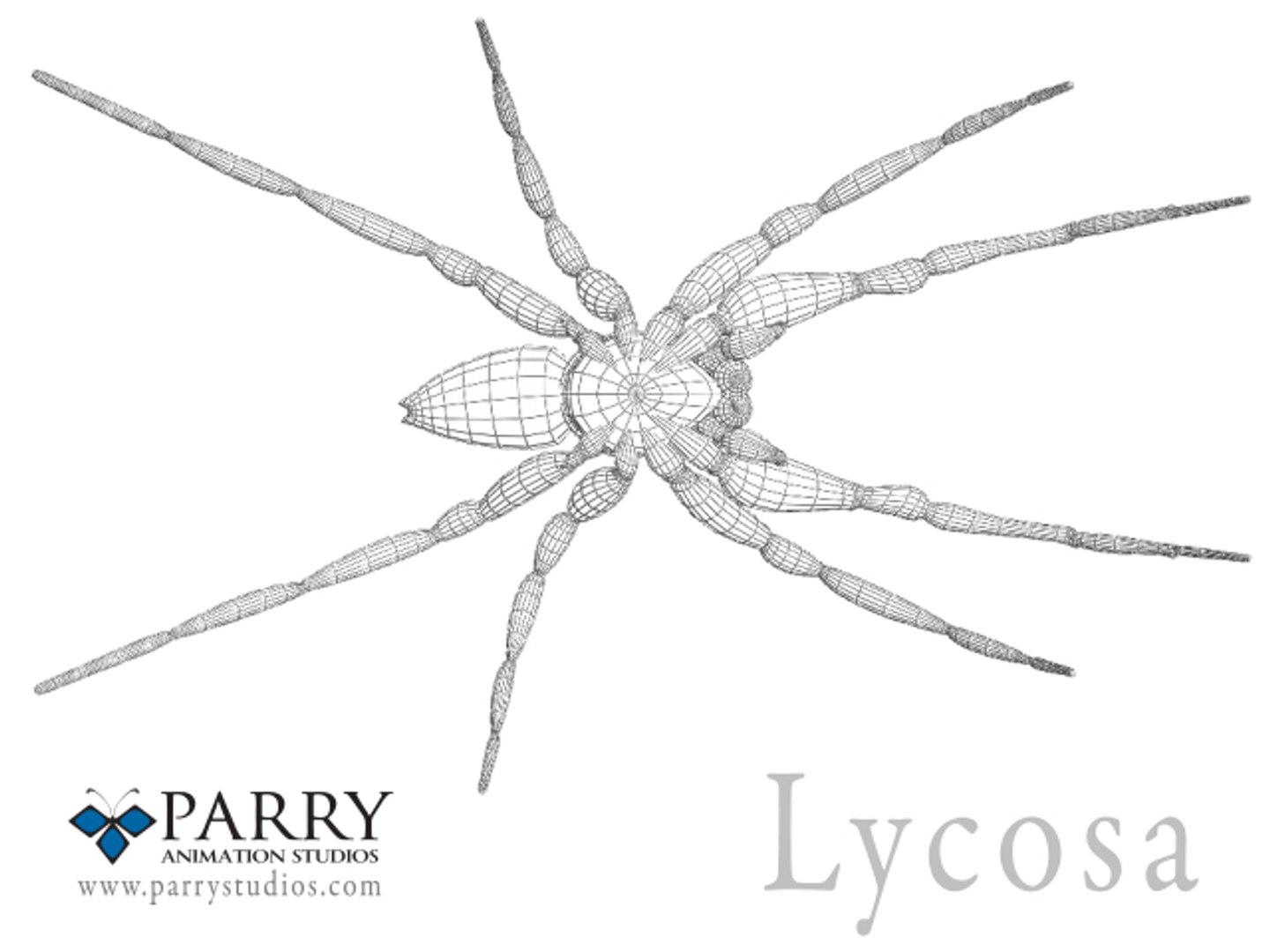 Maya Spider Procedurally