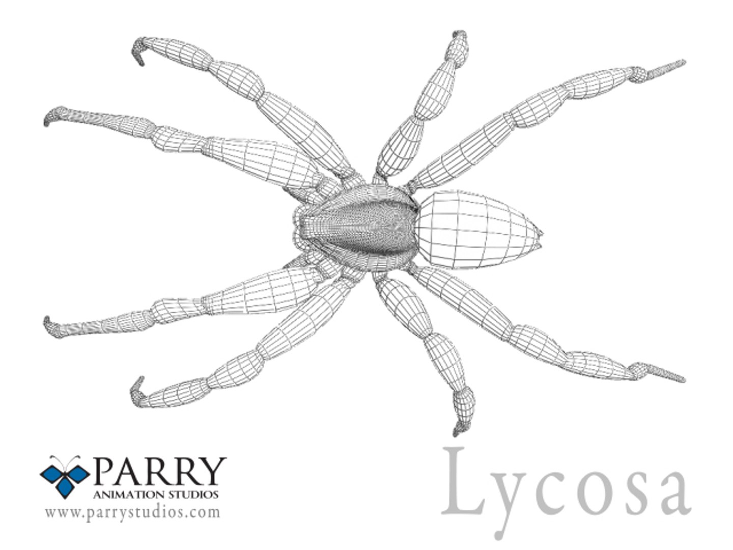 Maya Spider Procedurally