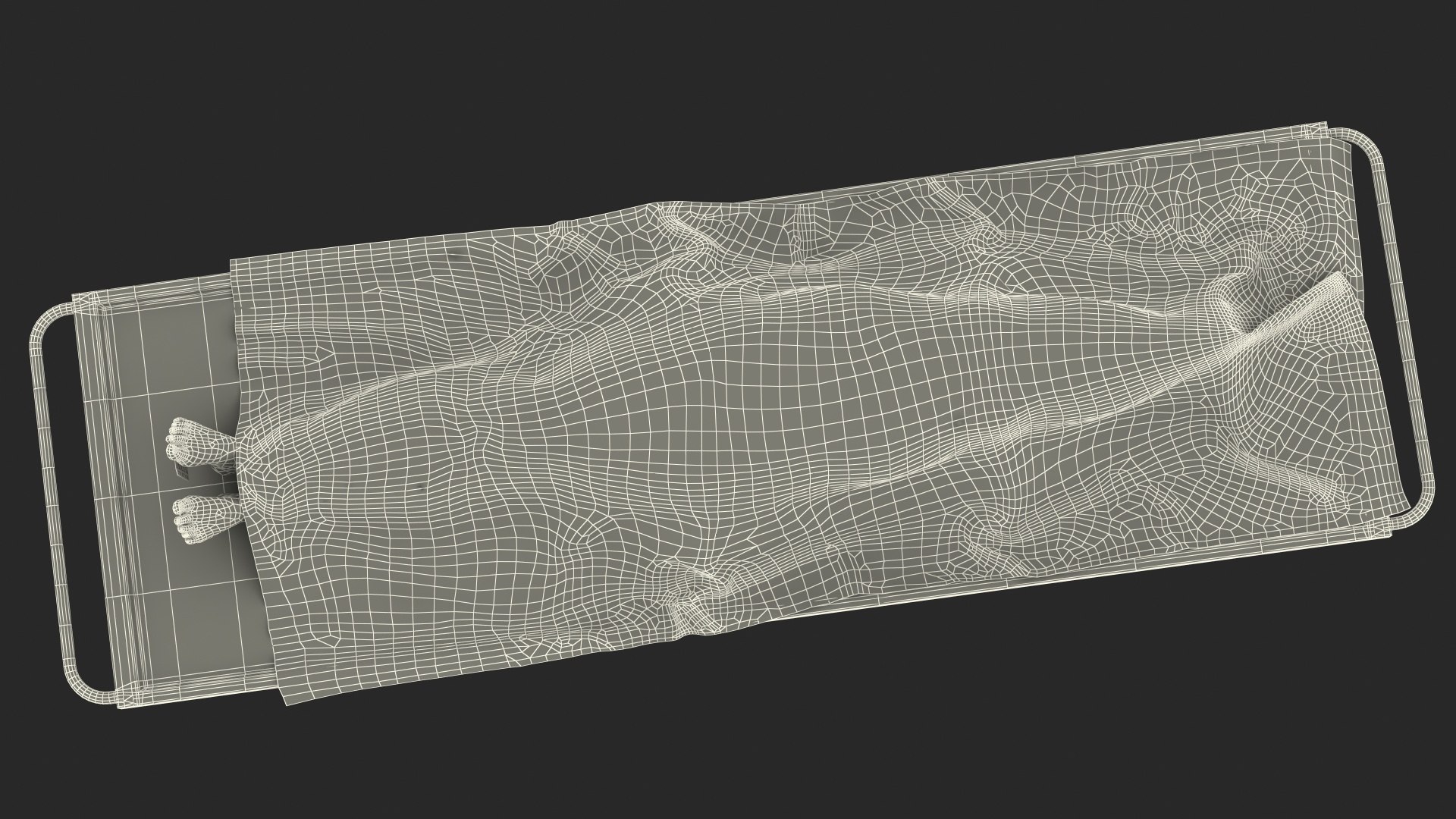 3D Female Dead Body Covered With Cloth Model - TurboSquid 1977372