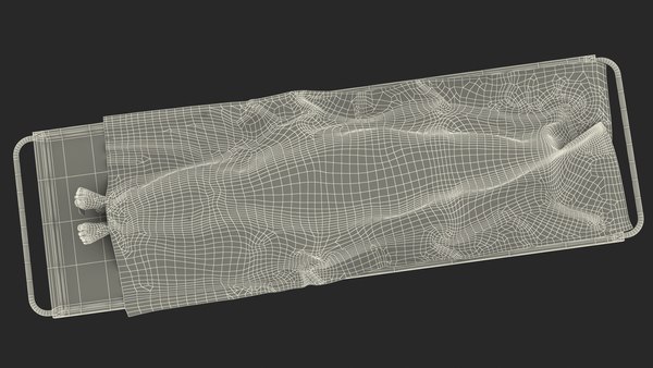 modelo 3d Cadáver femenino cubierto con tela - TurboSquid 1977372