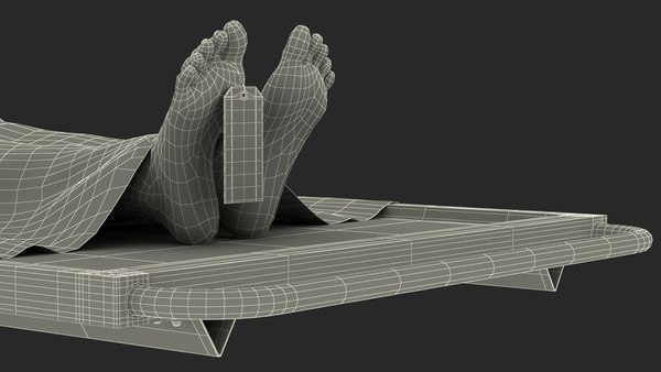 modelo 3d Cadáver femenino cubierto con tela - TurboSquid 1977372