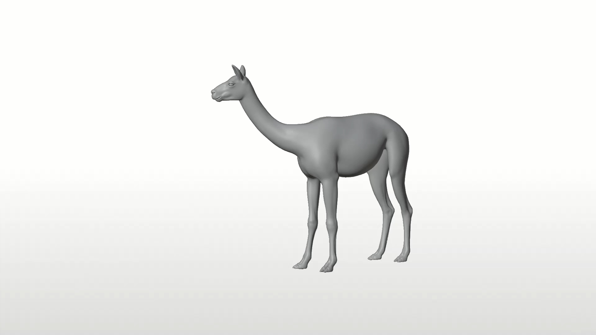modelo 3d Alpaca Animated - TurboSquid 2078931